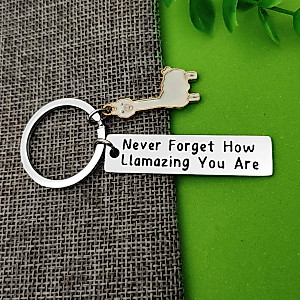 Baipilu Llama Keychain Llama Gift Never Forget How Llamazing You are Keychain for Women Alpaca Gifts Animal Lover Gift Inspiring Inspired Motivational Keychains for Women,birthday gift for friends