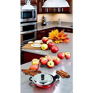 KASHVIYA Heavy 12 Cavities Non Stick Appam Patra With Stainless Lid,Red (Paniyarrakal/Paniyaram/Appam Pan/Maker/Pan Cake Maker), Aluminium (Large Black)(Gas Compatible)