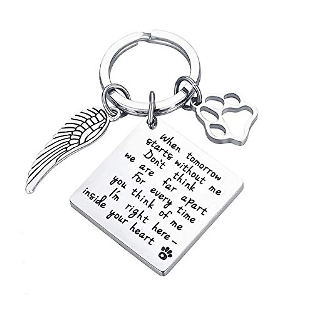 ShiQiao Spl Pet Bereavement Memorial Remembrance Gift - When Tomorrow Starts Without Me Paw Prints Keychain Dog Cat Loss Gifts for Pet Owner Sympathy Gifts
