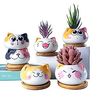YINUOWEI Succulent Pots with Drainage 3.6 Inch Mini Cat Pots for Plants Tiny Animal Planter Small Ceramic Air Plant Flower Pots Cactus Faux Planters Containers with Bamboo Tray