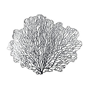 Home Details 4 Pack Coral Metallic Placemats | Detail Décor | Perfect Tablescape | Great for Dining Room | Kitchen Table | Island Counter | Coffee Table | Coral Design | Sliver