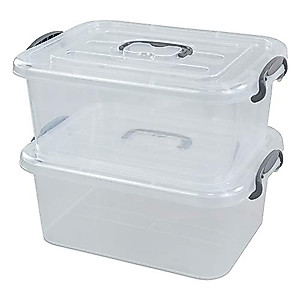 Zerdyne 2 Packs 8 L Clear Plastic Storage Boxes with Grey Handle