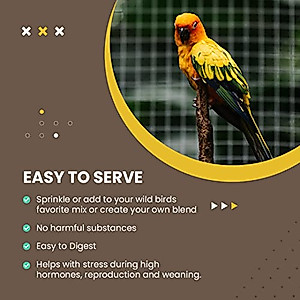 Bird Street Bistro Organic Hulled Millet Bird Seed - Bird Food - Millet for Birds and Canary, Finches, Small Wild Bird Food – Bird Feed with no Harmful substances, no fillers – White Millet Hulled