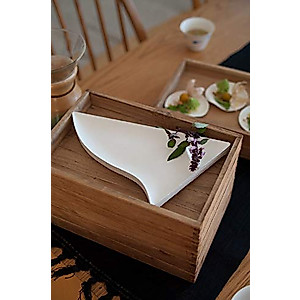 WASARA DM-013R Medium Plate, White, 10.3 inches (26.1 cm), 6 Pieces