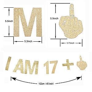 Morndew Gold Gliter I AM 17+1 Paper Banner for 18th Birthday Party Sign Backdrops Funny/Gag 18 Bday Party Wedding Anniversary Celebration Party Retirement Party Decorations