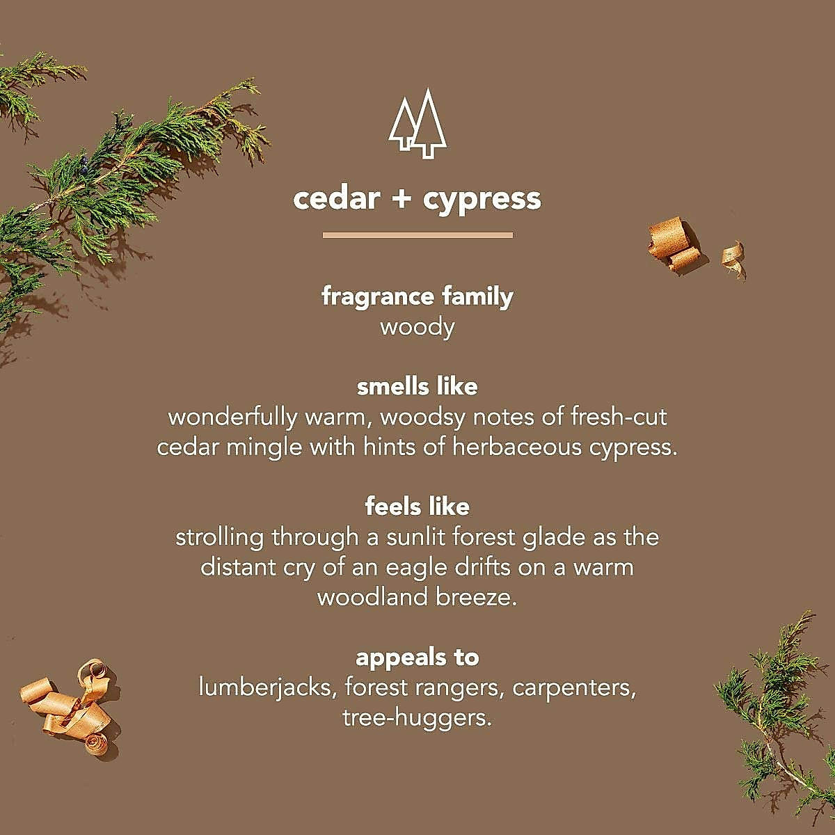 Method Men Body Wash, Cedar + Cypress, Paraben and Phthalate Free, 18 FL Oz (Pack of 6)