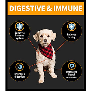 Charm Squeezable Paste Probiotic Vitamins Supplement for Cat & Dog- for Digestion, Diarrhea, Constipation Allergy, Hair Balls, Acts As Stool Softener- Suitable for Over 3 Mth Old Senior (Salmon)