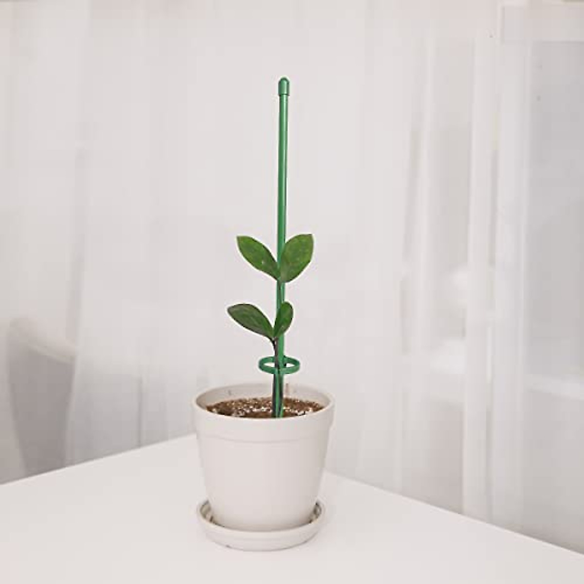 12 Inch Plant Support Stakes, with Adjustable Retaining Ring Green Plant Sticks Support Stakes for Indoor and Outdoor Plants,Flowers,Climbing(10Pcs)