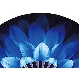 Amajiji Large Folding Fan, Rave Festival Accessories for Men/Women, Chinease/Japanese Bamboo Hand Fan, Performance Decoration Gift Dance Handheld Fan (Blue Flowers)