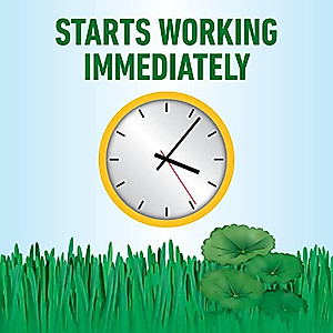 Roundup for Lawns₄ Ready-To-Use (Southern) - All-in-One Weed Killer for Lawns, Extended Reach Wand, 1 gal.