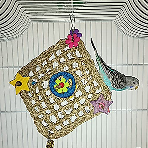 通用 XH Bird Parrot Toys,Bird Foraging Wall Toy with Hanging Hook, Seagrass Woven Mat with Colorful Wooden Blocks,Suitable for Lovebirds, Budgerigars, Conure, Cockatiel