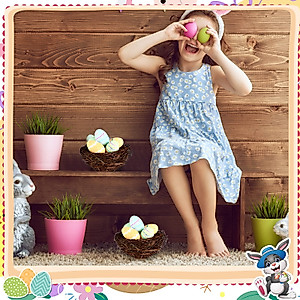 10 Pcs Christmas Artificial Bird Nest Decorating Rattan Birdhouse Nest for Crafts Christmas Thanksgiving Easter Decoration Wedding Patio Garden DIY Terrarium and Spring Vignettes (5.9 Inch)