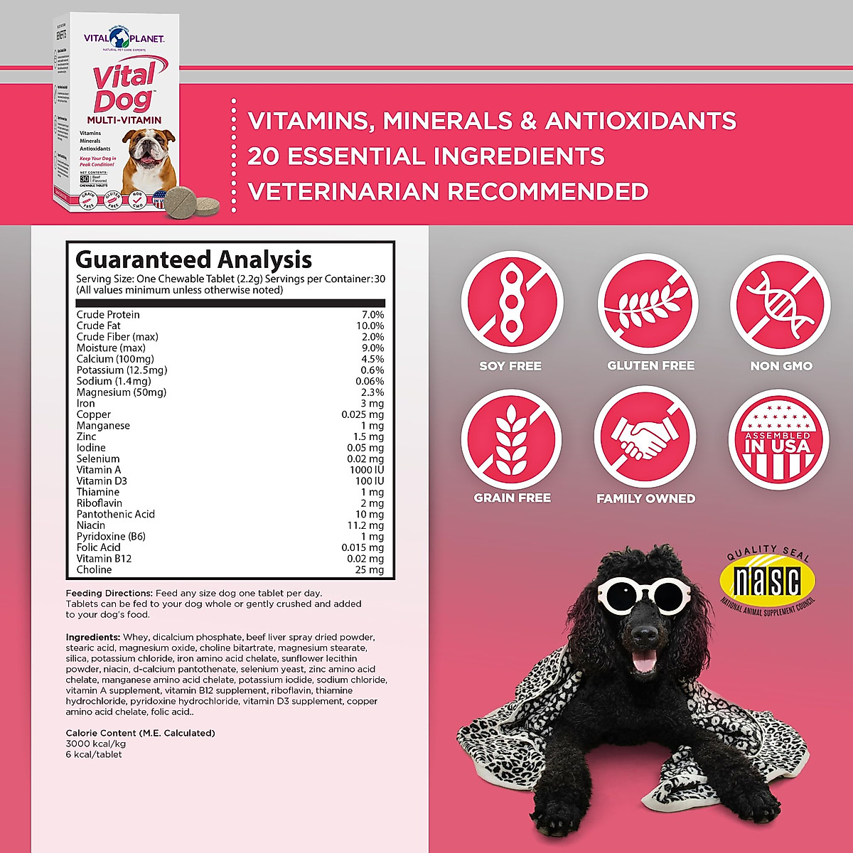 Vital Planet - Vital Dog Multi Vitamin Chewable Tablet Supplement for Everyday Health with Vitamins, Minerals and Antioxidants for Dogs - 30 Beef Flavored Chewable Tablets