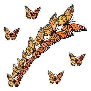 12 Pcs Monarch Butterfly Decorations, 3 Sizes Halloween Butterfly Wall Decor, 3D Orange Fake Butterflies, Artificial Butterfly Crafts for The Dead Day, Bedroom, Home, Wedding, Party, Christmas Decor