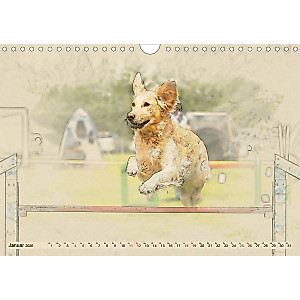 Golden Retriever 2020 (Wandkalender 2020 DIN A4 quer): Golden Retriever im kunstvollen Aquarell-Stil. Jedes Monatsmotiv gleicht einem kleinen Kunstwerk (Monatskalender, 14 Seiten )