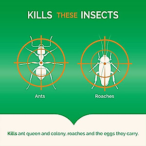 Hot Shot Ultra Clear Roach & Ant Gel Bait, 1-Count, 6-Pack, Plain