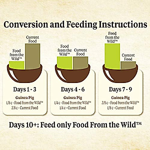 Kaytee Food from The Wild Natural Pet Guinea Pig Food, 4 Pound