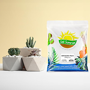 Horticultural Perlite Soil Additive (12 Quarts); for Enhanced Potting Mix Drainage and Growth