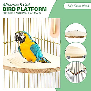 2 Pieces Bird Perches Bird Platform Perch with Pet Toys Bird Cage Accessories Parrot Perch Bird Rest Platform and Training Toy for Parakeet Gerbil Cockatiel Budgie Rat Mouse Chinchilla Hamster