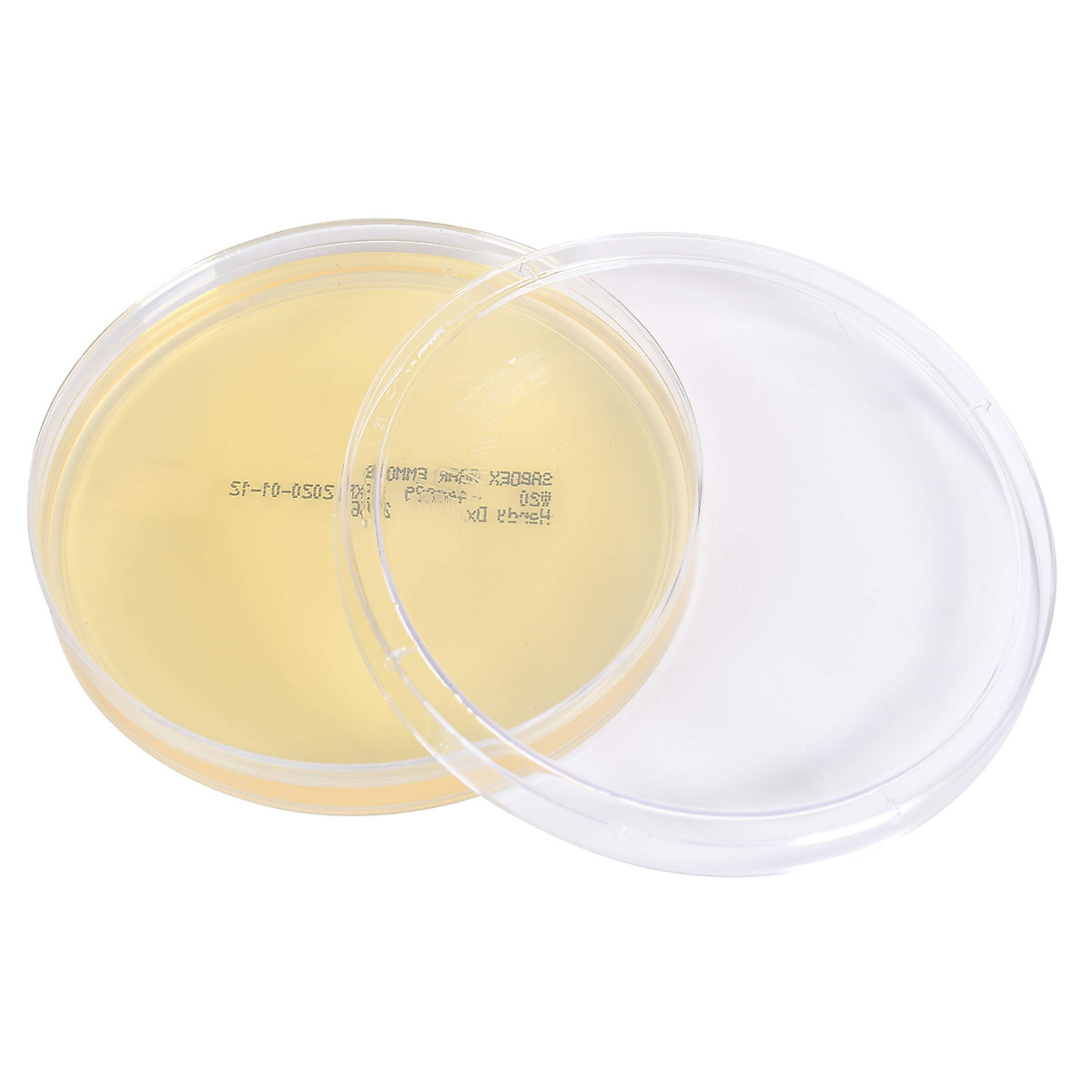 Emmon's Sabdex (Sabouraud Dextrose) Agar, for The Culturing of Fungi and Yeast, Deep Fill, 15x100mm Plate, Order by The Package of 10, by Hardy Diagnostics