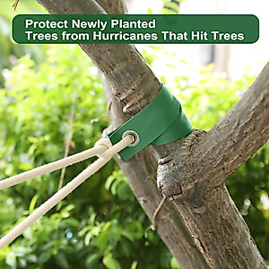 Jevrench 12 PCS Tree Straps for Staking, Tree Support Straps for Guying Staking Newly Planted Sapling Straight and Hurricane Protection, Heavy Duty Tree Stake Straps for Straightening