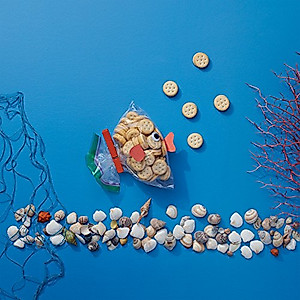 Ziploc Sandwich Bags,X-Large 30 ct (Pack of 2)