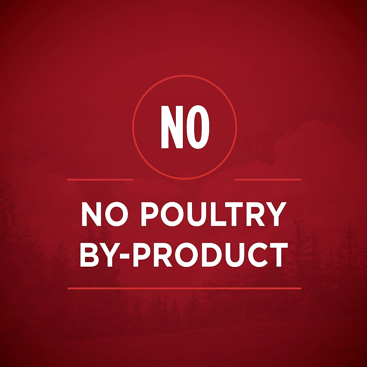 Purina ONE High Protein Wet Dog Food True Instinct Tender Cuts in Dog Food Gravy With Real Chicken and Duck - (Pack of 12) 13 oz. Cans