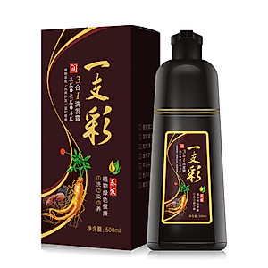 ALEXTREME Black Hair Dye, Hair Dye Color Shampoo Beauty Nourishes Long Lasting Care for Men Women Home Salon
