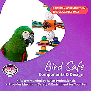 Super Bird Creations SB513 Willy Nilly Bird Toy, Medium/Large Bird Size, 14" x 6.5"