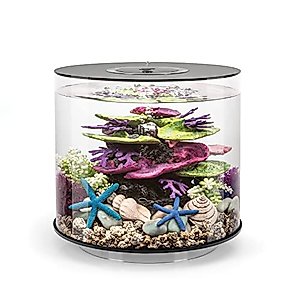 Tube 15 Aquarium with Standard Light - 4 Gallon, Black
