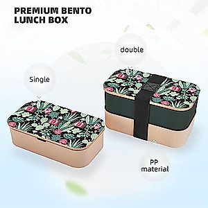 Cactus Premium Bento Lunch Box, 2 Compartments Leakproof Lunch Box With Cutlery For Adults, Microwave & Dishwasher Safe