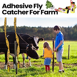 Qualirey 160 Pack Fly Strips Sticky Fly Trap Indoor Outdoor Hanging Fly Ribbon Tape Paper Flying Insect Trap Gnat Killer Traps for Fruit Flies, Bug, Insect, Pest (Yellow)