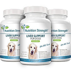 Nutrition Strength Liver Support for Dogs to Promote Natural Detoxification, with Milk Thistle for Dogs, Dandelion Root, Yellow Dock, Nettle Root, St. John's Wort & Coenzyme Q10, 120 Chewable Tablets