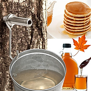 YEOSLL Maple Syrup Tapping Kit - Food-Grade Stainless Steel, PFOA-Free, Includes Maple Syrup Taps, Brush and Filters, 1-Set