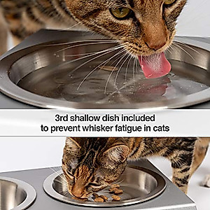 PetFusion Elevated Dog Bowls, Cat Bowls -- Premium Anodized Aluminum Feeder (Short 4"). Us Food Grade Stainless Steel Raised Bowls,Metallic Gray