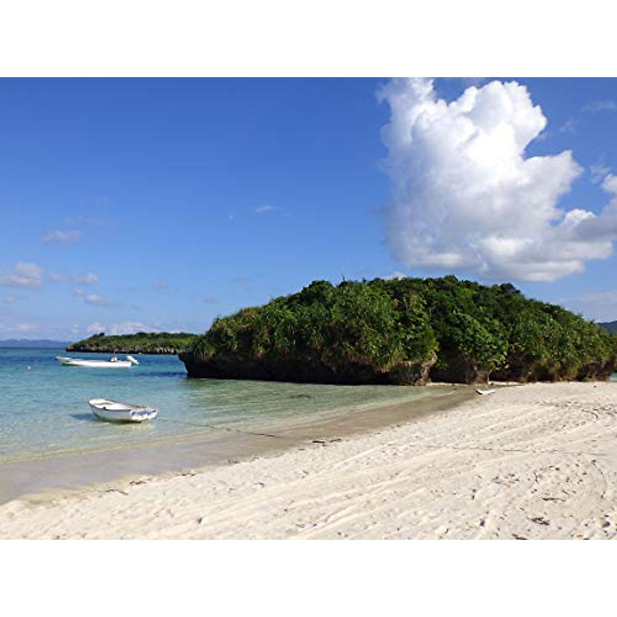 Ricoh WG-70 Black Waterproof Digital Camera 16MP