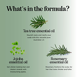Invigorating Tea Tree Mint Shampoo - Rosemary Mint Shampoo for Oily Hair with Tea Tree Oil for Hair - Aromatherapy Clarifying Shampoo for Build Up Dry Scalp and Flakes with Essential Oils for Hair