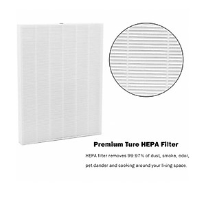 115115 Size 21 Filter A Compatible with Winix PlasmaWave Air Purifier C535, 5300, 5300-2, 6300, 6300-2, AM90, P300, True HEPA Filter with 4 Carbon Pre-Filters