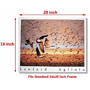 Canada Geese Flying Birds Animal Wall Decor Art Poster Print (16x20)