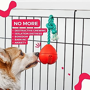 FOSSA Interactive Dog Toys, Crate Training Aids for Puppies, Puzzle Treat Dispenser with Rope