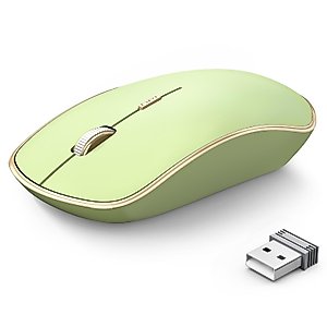 JOYACCESS J 2.4G Slim Wireless Silent Mouse, Portable Wireless Computer Mouse with 5 Adjustable DPI Levels, USB Mouse for Desktop, Notebook, MacBook, Chromebook, PC (Light Green)