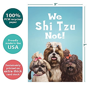 Tree-Free Greetings - Humorous Birthday Cards - Artful Designs - 1 Card + Matching Envelopes - Made in USA - 100% Recycled Paper - 5"x7" - Shi Tzu Not (GO61210)