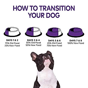 Wellness Complete Health Toy Breed Dry Dog Food with Grains, Chicken & Rice, 4-Pound Bag