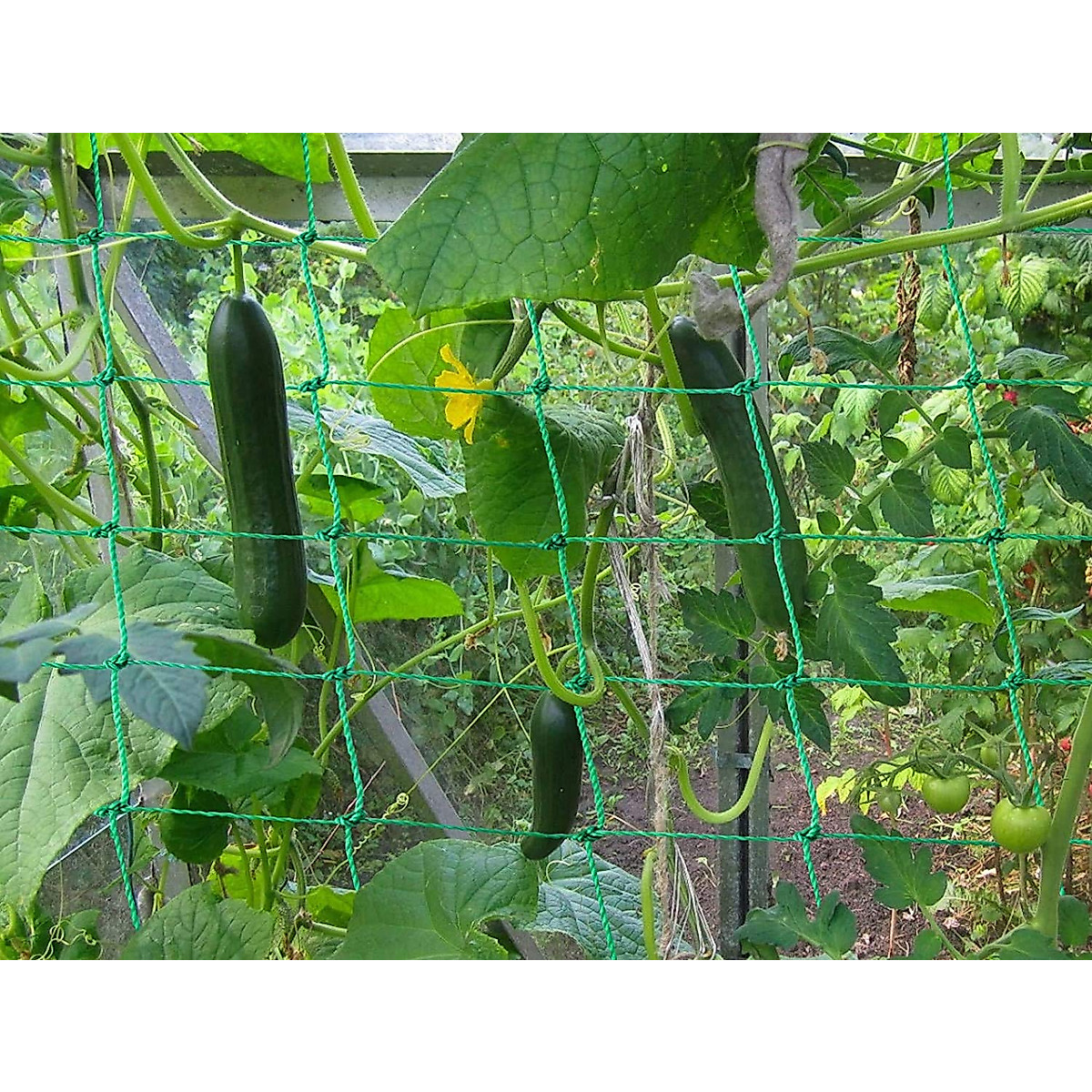 Garden Trellis Netting Heavy Duty for Climbing Plants, Cucumber, Vine, Fruits & Vegetables Tomato Plants Trellis Net, Climbing Vining Plants (8.2' x 6.6'Ft)