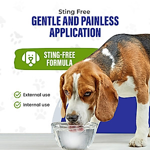 HighVibe Silver-Colloidal Silver for Pets 32 oz-Colloidal Silver Dogs, Colloidal Silver Cats