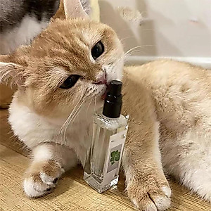 DENGWANG Herbal Cat Joy, Kitty Joy Herbal Cat Joy, Celery Pets Herbal Cat Joy, Kitty Joy Herbal Spray, Cat Stress and Anxiety Relief, Happy Living Space for Your Cat (3Pcs)