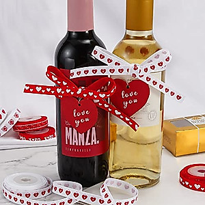 VATIN Valentine's Day Ribbons 3/8 Inch x 240Fts(16 Rolls x 15Ft) Valentine's Day Trims Grosgrain Ribbons Hearts Printed Ribbon for Valentine's Day Wedding Gift Wrapping DIY Crafts