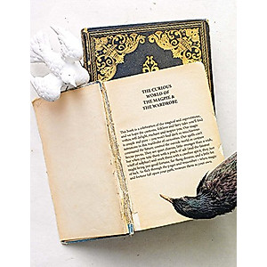 The Magpie and the Wardrobe: A Curiosity of Folklore, Magic and Spells