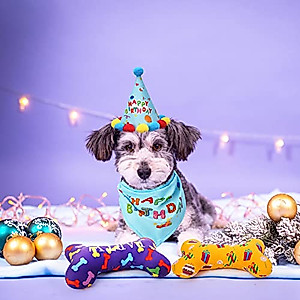 PAWCHIE Dog Birthday Party Supplies - Dog Birthday Bandana, Squeaky Toy, Party Hat and Dog Paw Ink Pad Set, Perfect Pet Birthday Party