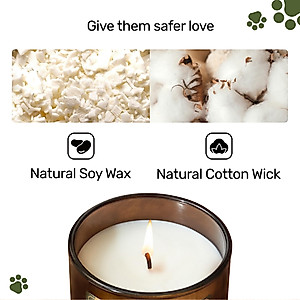 Furry Purr Candles for Home Scented, Pet Odor Eliminator Candle, Lily of The Valley, Aromatherapy Jar Candle Gifts for Women Yoga, Non-Toxic Soy Wax & Catnip Essential Oil, Animal Lover Gift, 7 Oz